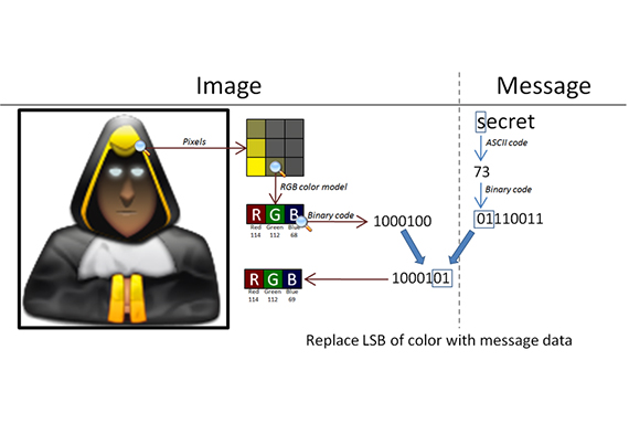 C Programming Projects | LSB Image Steganography Project